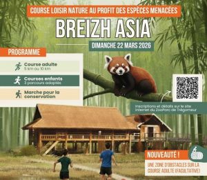 CPPR à la Breizh Asia - CPPR